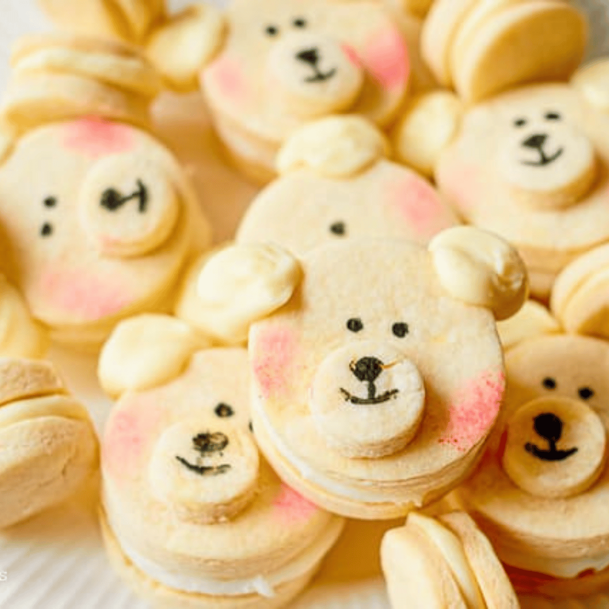 Teddy Bear Cookies Recipe